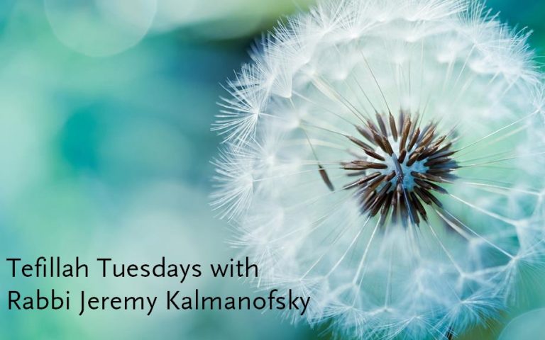 Tefillah Tuesday: Completing Hallel | Ansche Chesed