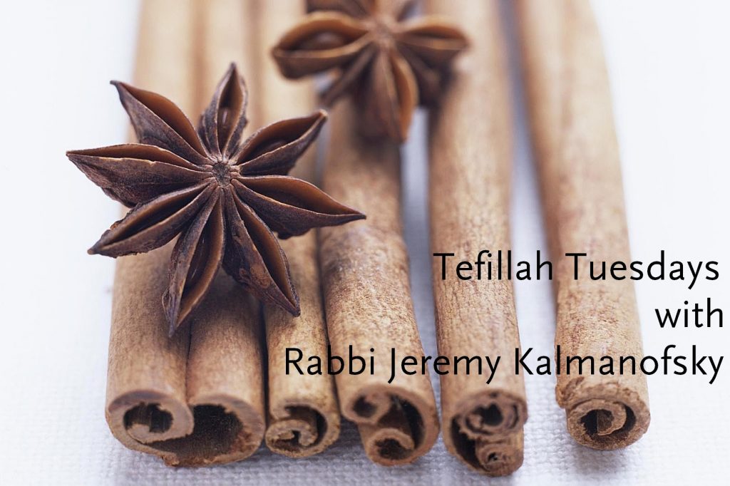 Tefillah Tuesday: Perfume | Ansche Chesed